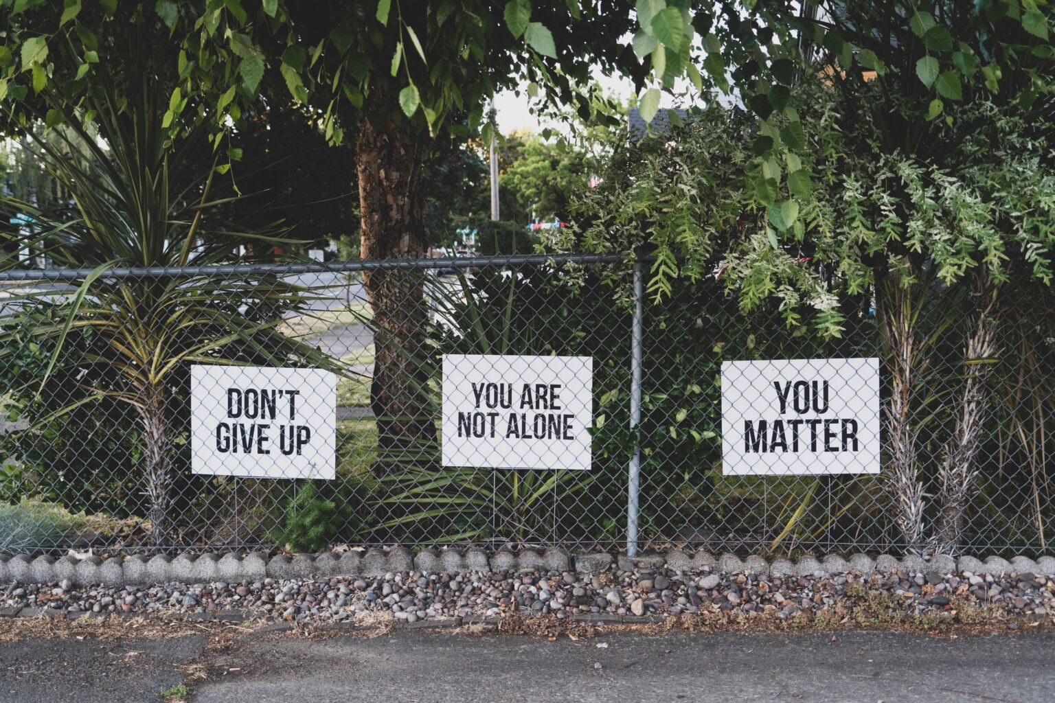 Mental Health Accessibility - Avenues Counseling Mental Health Accessibility - Avenues Counseling